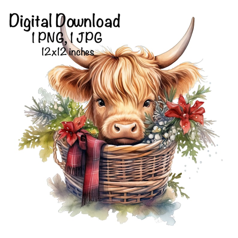Highland Cow Watercolor Clipart Highland Cow Christmas Flowers - Etsy