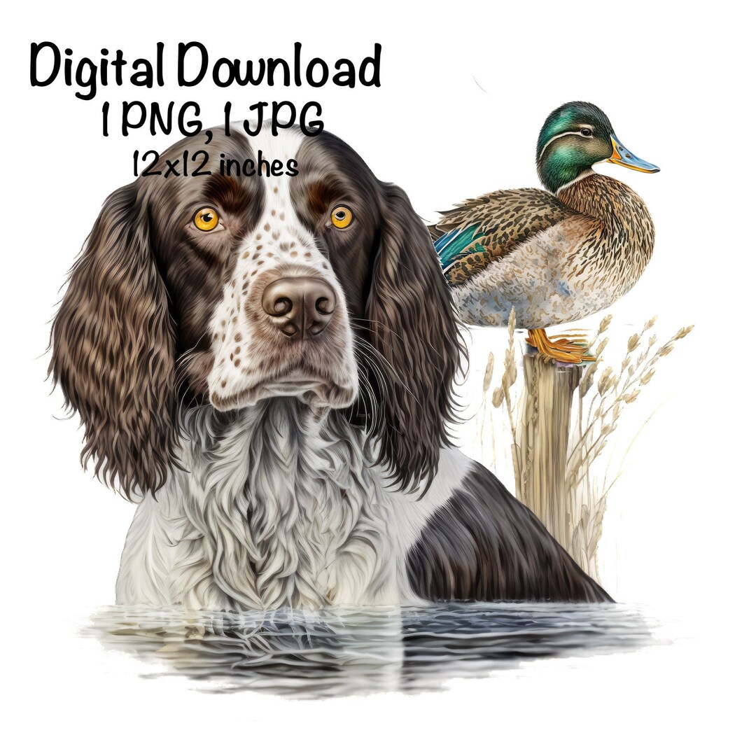 Duck Hunting Dog PNG Clipart English Springer Spaniel PNG Commercial ...