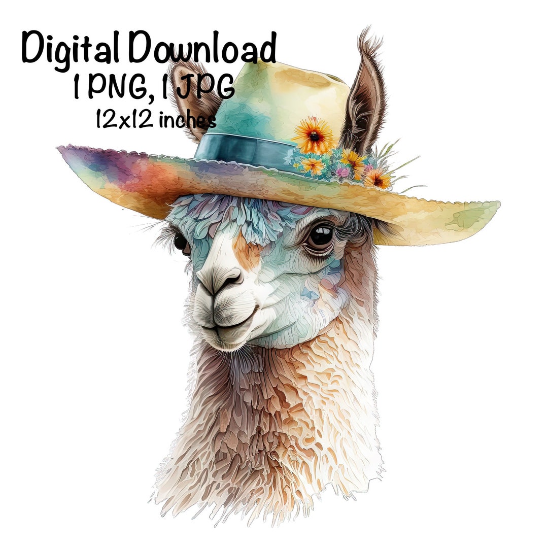 Llama Clipart Sun Hat Llama Summer Flowers PNG Commercial Use Llama ...