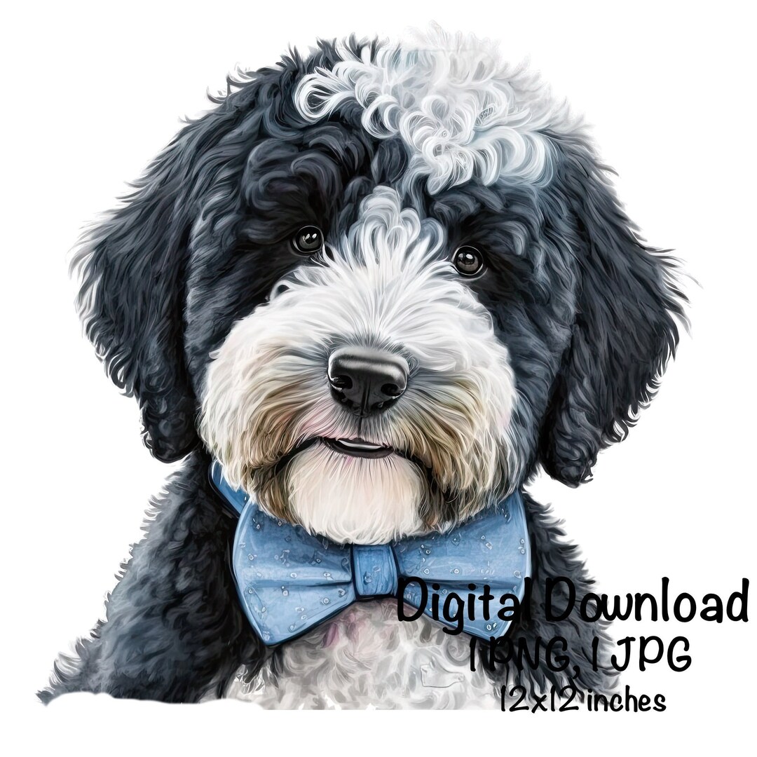 Sheepadoodle Dog Watercolor Clipart Doodle Dog Blue Bow Tie PNG ...