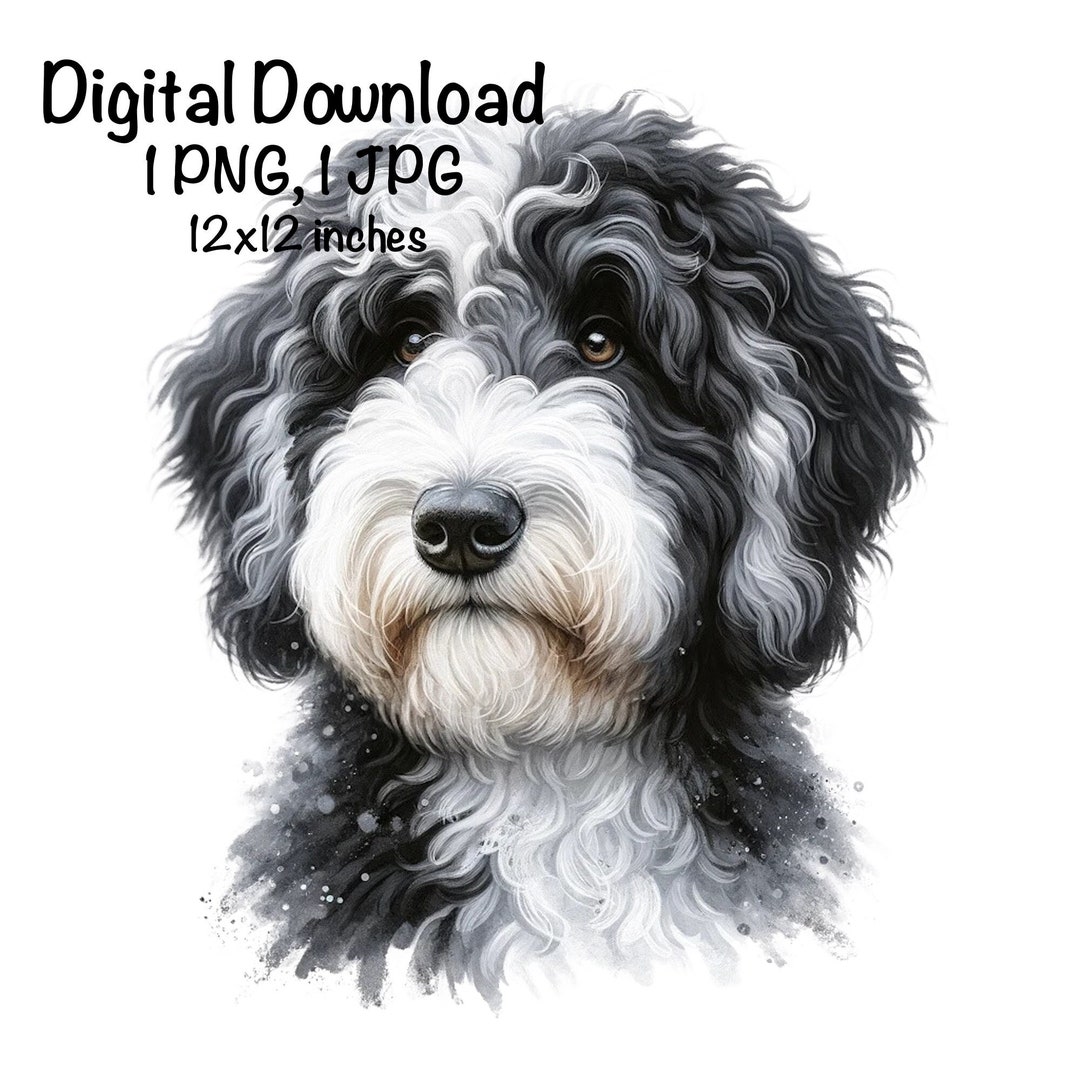 Sheepadoodle Sublimation PNG, Doodle Dog Portrait, Sheepa Doodle PNG ...