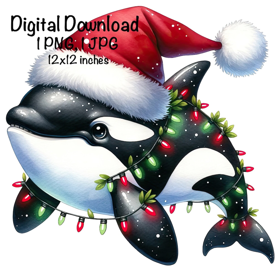 Whale Orca PNG, Christmas Whale Clipart Ocean Sea Animals Santa Orca ...