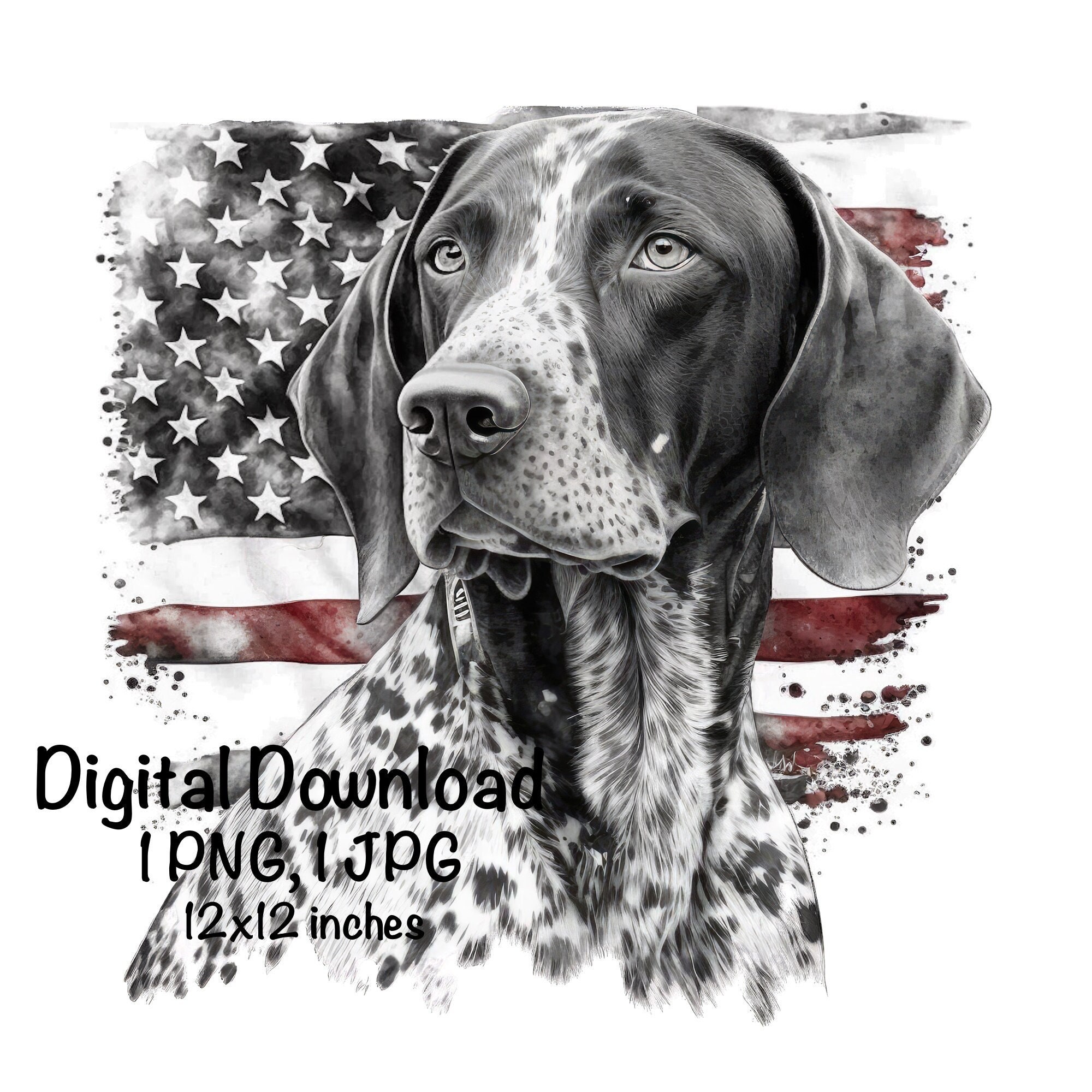 American Pointer