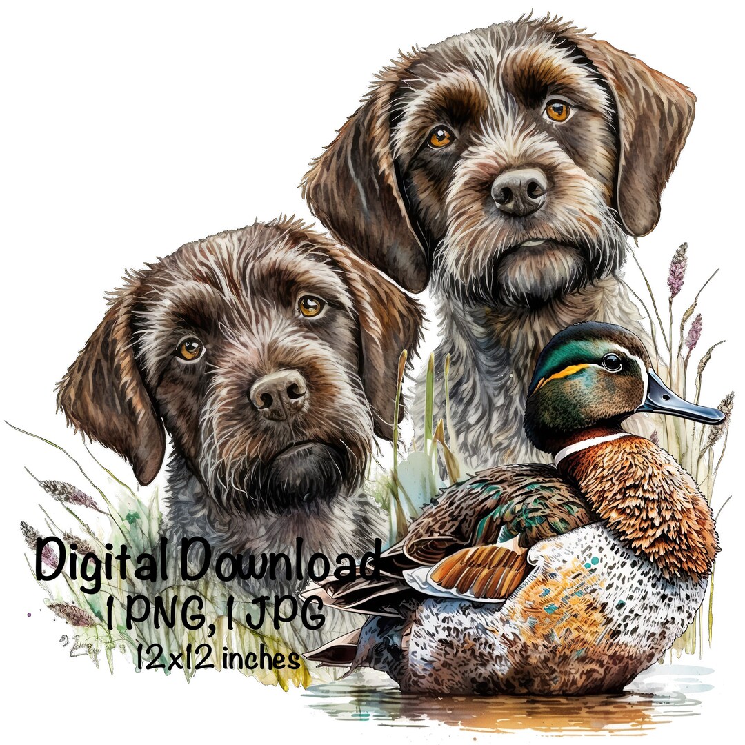 Duck Hunting PNG, Hunting Dog and Duck, Digital Download, Duck Hunting ...