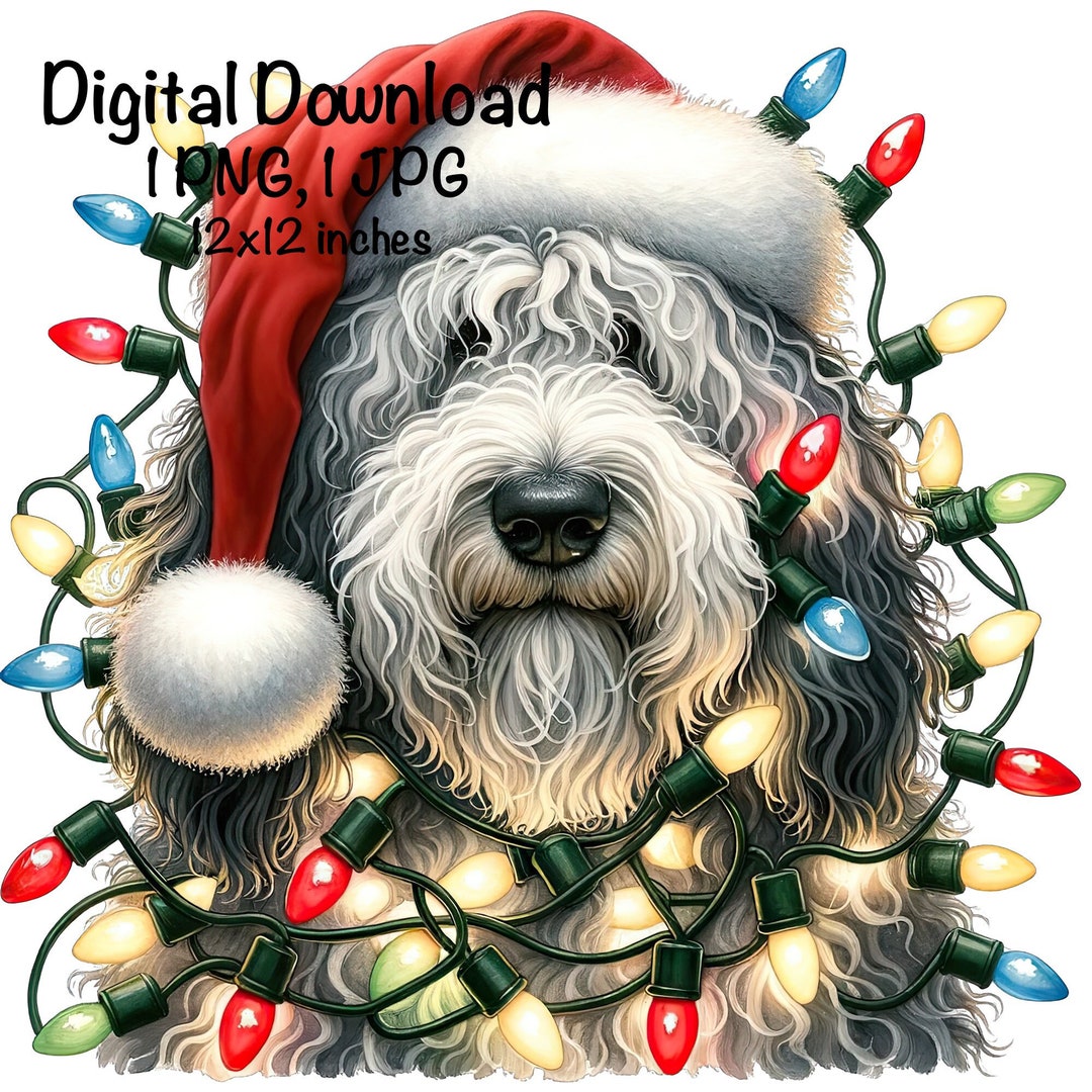 Christmas Sheepadoodle Puppy PNG Christmas Lights Santa Doodle Dog ...
