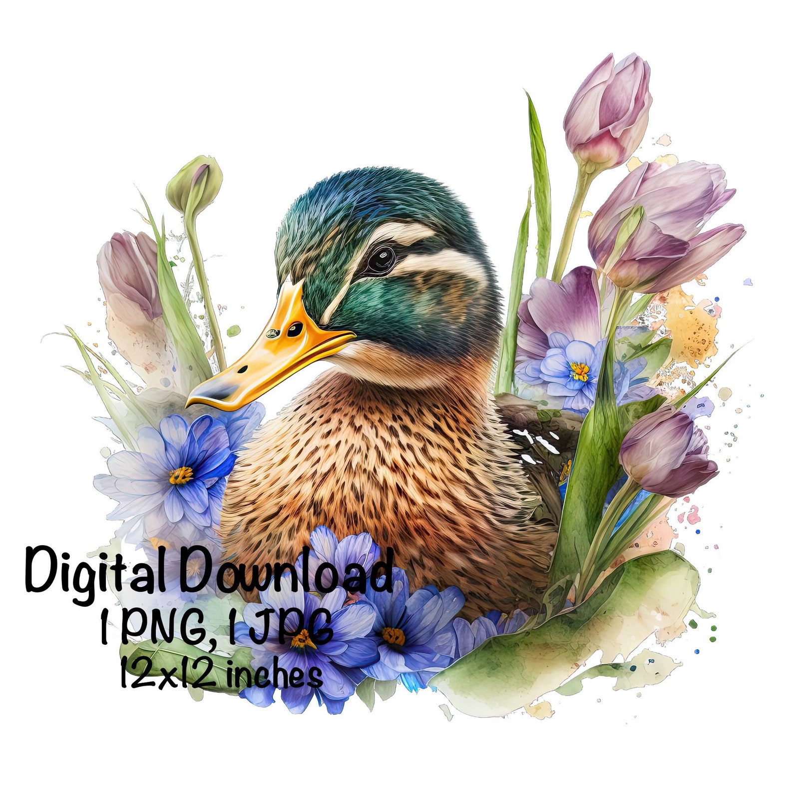 Mallard Duck Watercolor Duck Spring Flowers PNG Commercial Use - Etsy