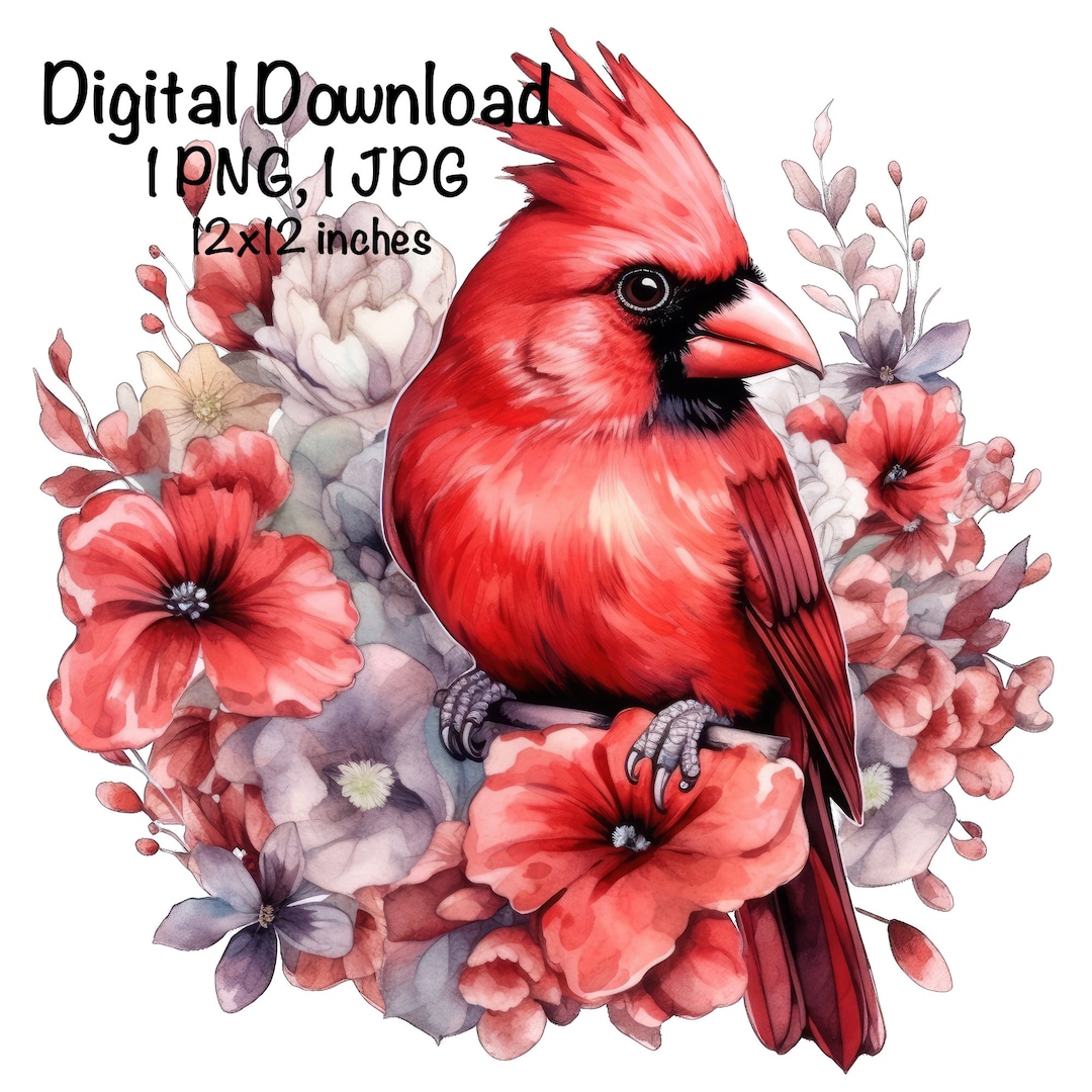 Red Cardinal PNG Watercolor Clipart Red Cardinal Exotic Flowers ...