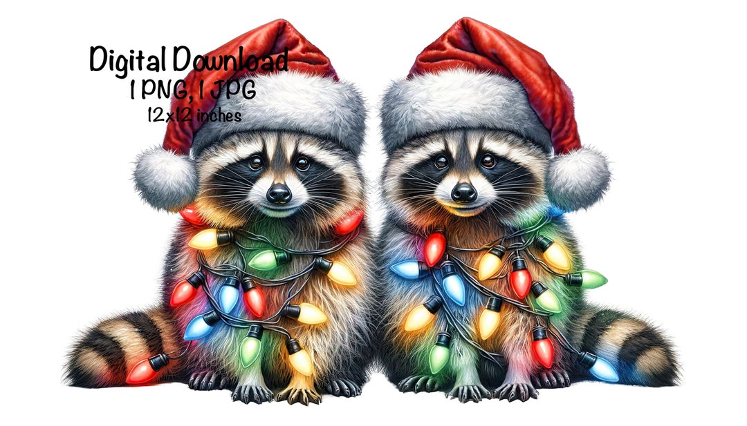 Racoons PNG Clipart Funny Christmas Lights Raccoon Sublimation ...