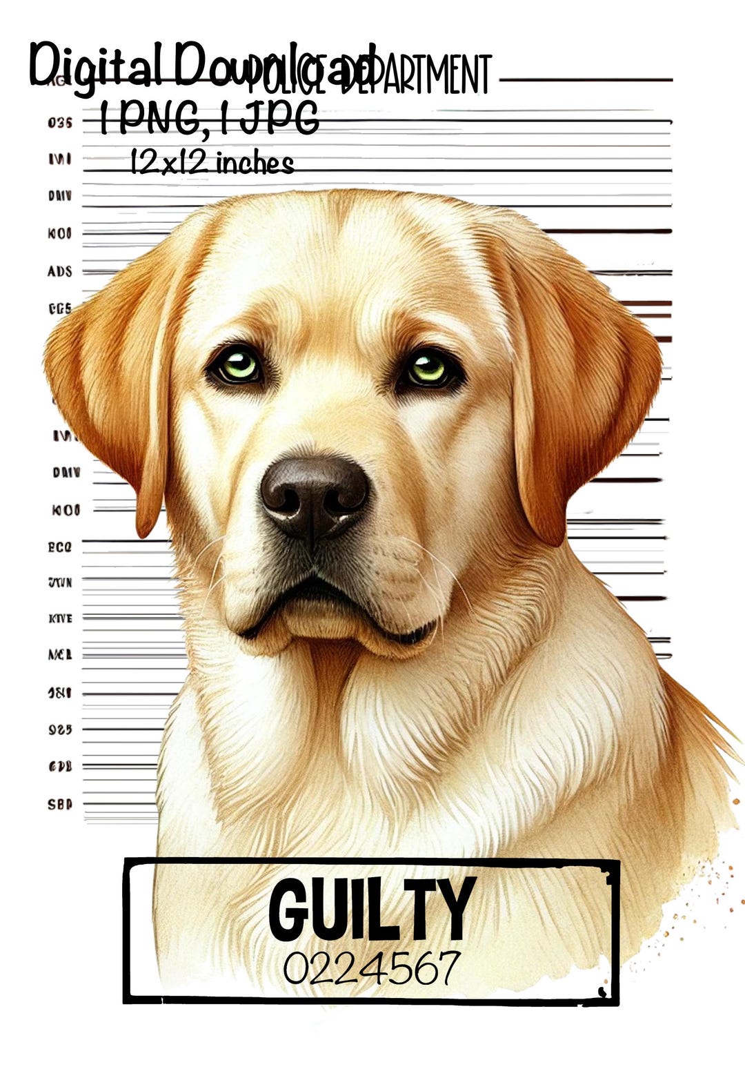 Labrador Mugshot PNG, Hunting Dog Mugshot, Funny Labrador Police Mug ...