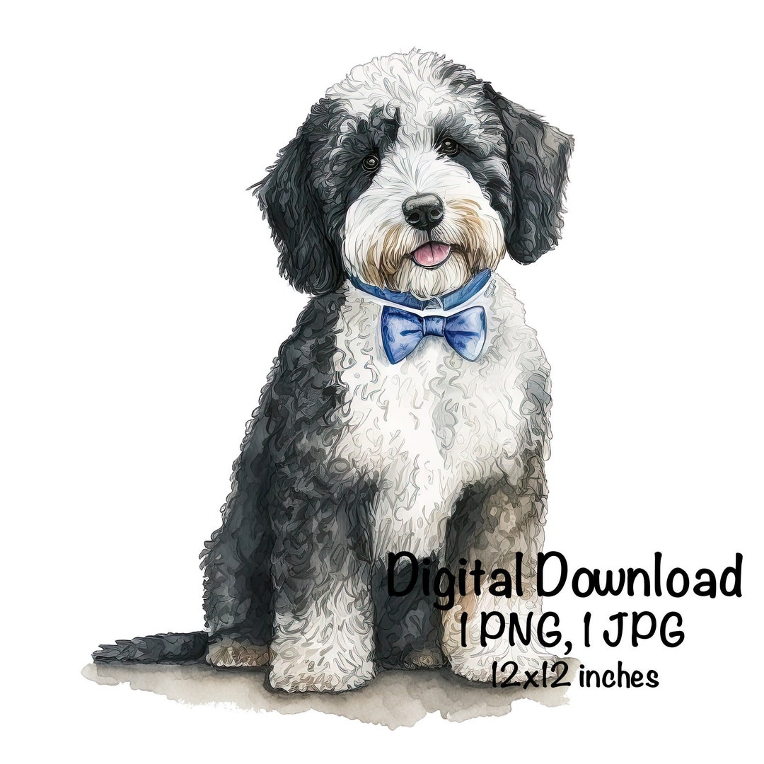 Sheepadoodle Dog Watercolor Clipart Doodle Dog Blue Bow Tie PNG ...
