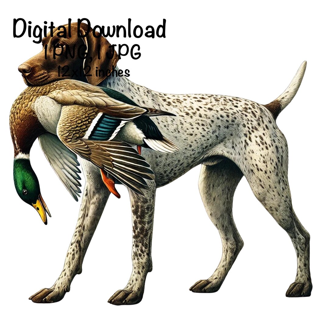 Pointer Hunting Dog PNG, Duck Hunting Sublimation, Duck Hunt Png, Duck ...