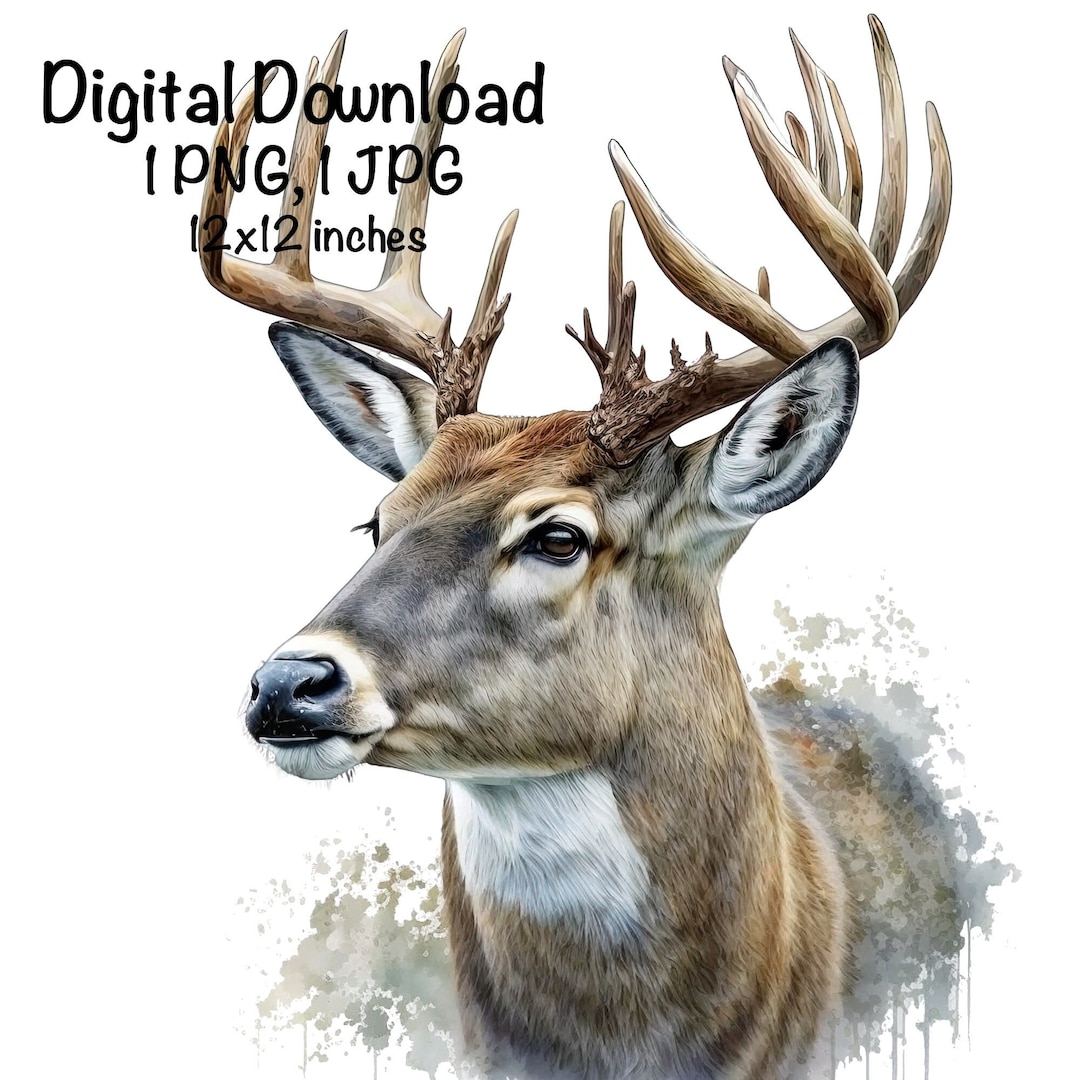 Deer Watercolor Clipart, Whitetail Deer PNG, Commercial Use Deer ...