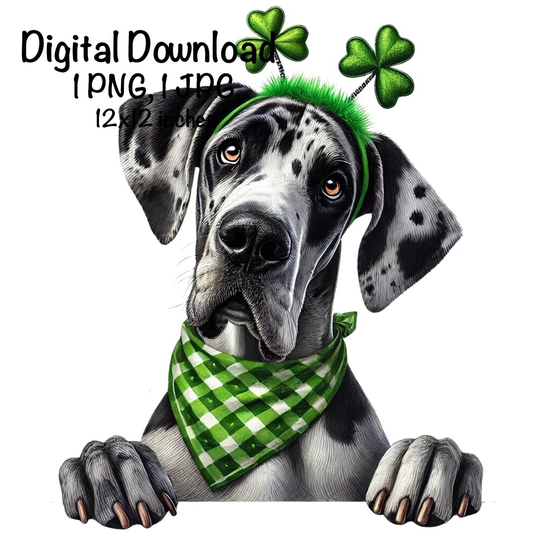St Patrick's Great Dane Dog PNG St Patrick's Day Harlequin Great Dane ...