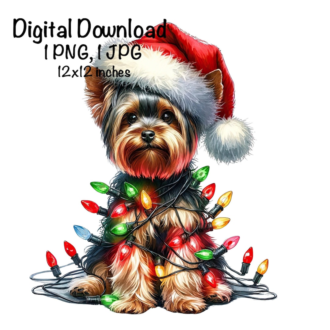 Christmas Yorkshire Terrier Puppy PNG Christmas Lights Santa Yorkie Dog ...