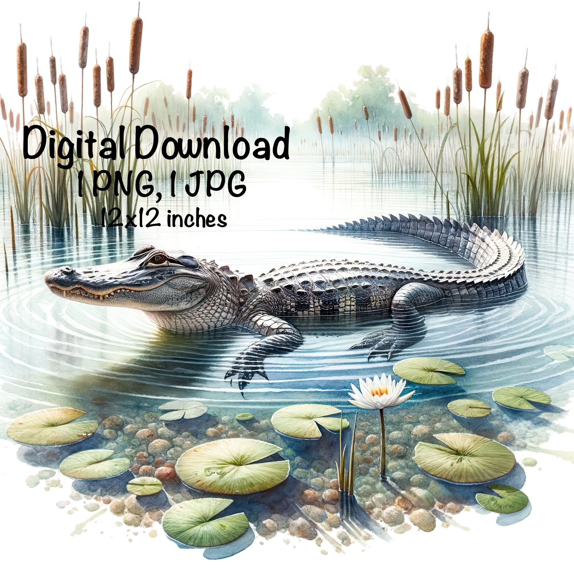 Swamp With Alligator Clipart Louisiana Clipart | Louisiana Swamp