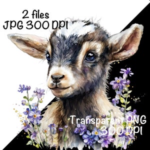 Farm Baby Goat Watercolor Clipart Goat Portrait Farmer Farm PNG ...