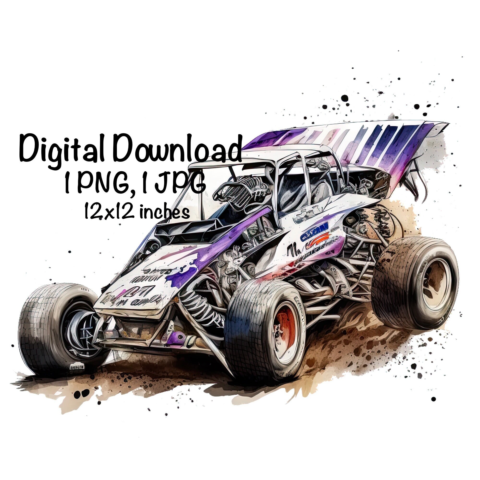 Dirt Track Racing Cartoons
