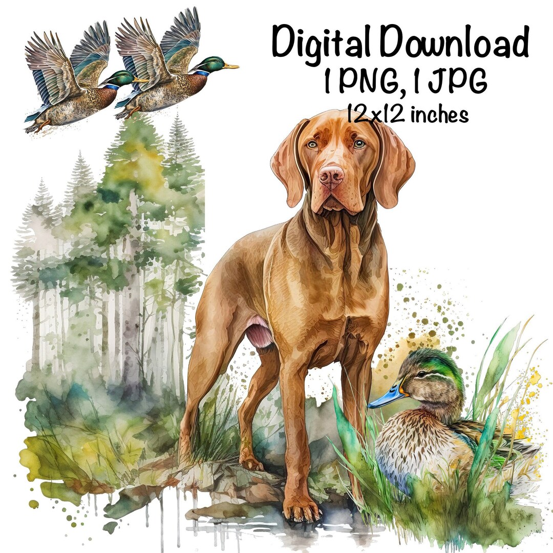 Golden Dog Watercolor Clipart Duck Hunting Dog PNG Commercial - Etsy