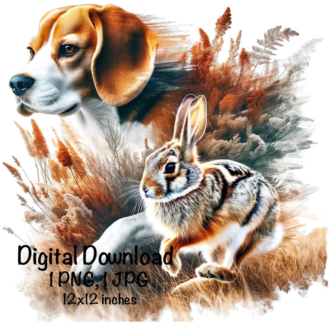 Beagle Hunting Dog PNG, Beagle Rabbit Hunting Dog Clipart, Beagle ...