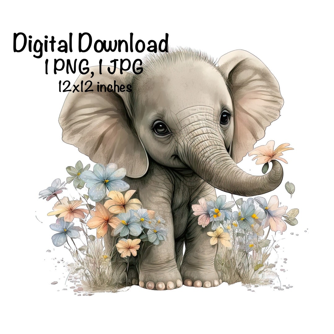 Elephant, Cute Elephant Clipart, Safari Animals PNG for Kids Toddlers ...