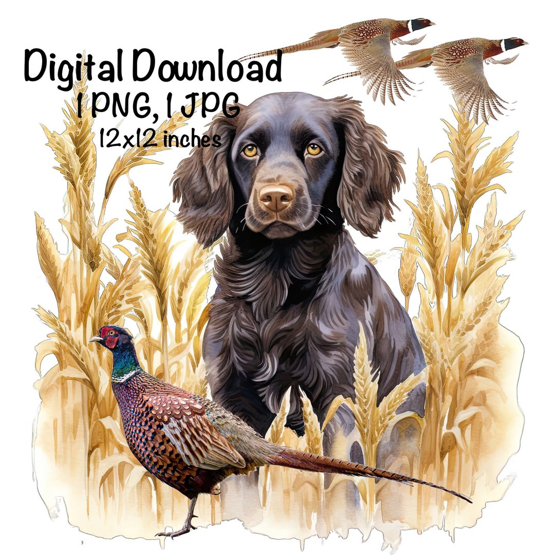 Boykin Spaniel Dog Watercolor Hunter Bokin Cute Dog PNG Commercial Use ...