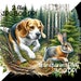 Beagle Hunting Dog PNG, Beagle Rabbit Hunting Dog Clipart, Beagle ...