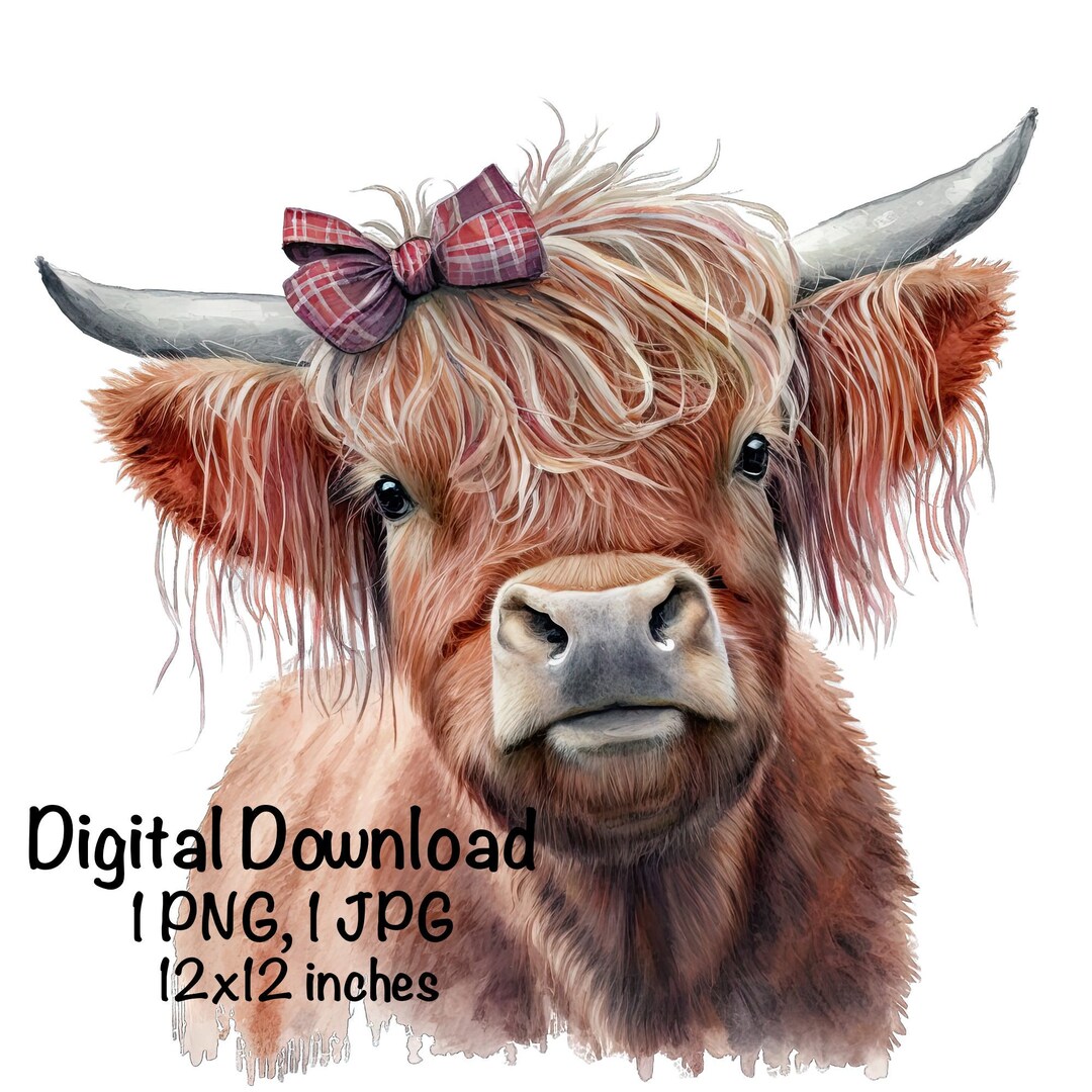 Highland Cow Watercolor Clipart Highland Cow Red Hair Bow - Etsy UK