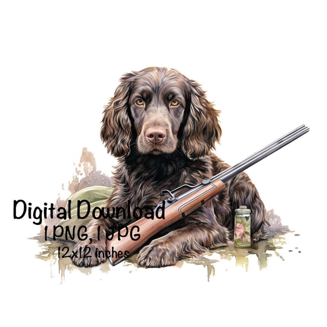 Boykin Spaniel Dog Watercolor Clipart Boykin Spaniel Dog PNG Commercial ...