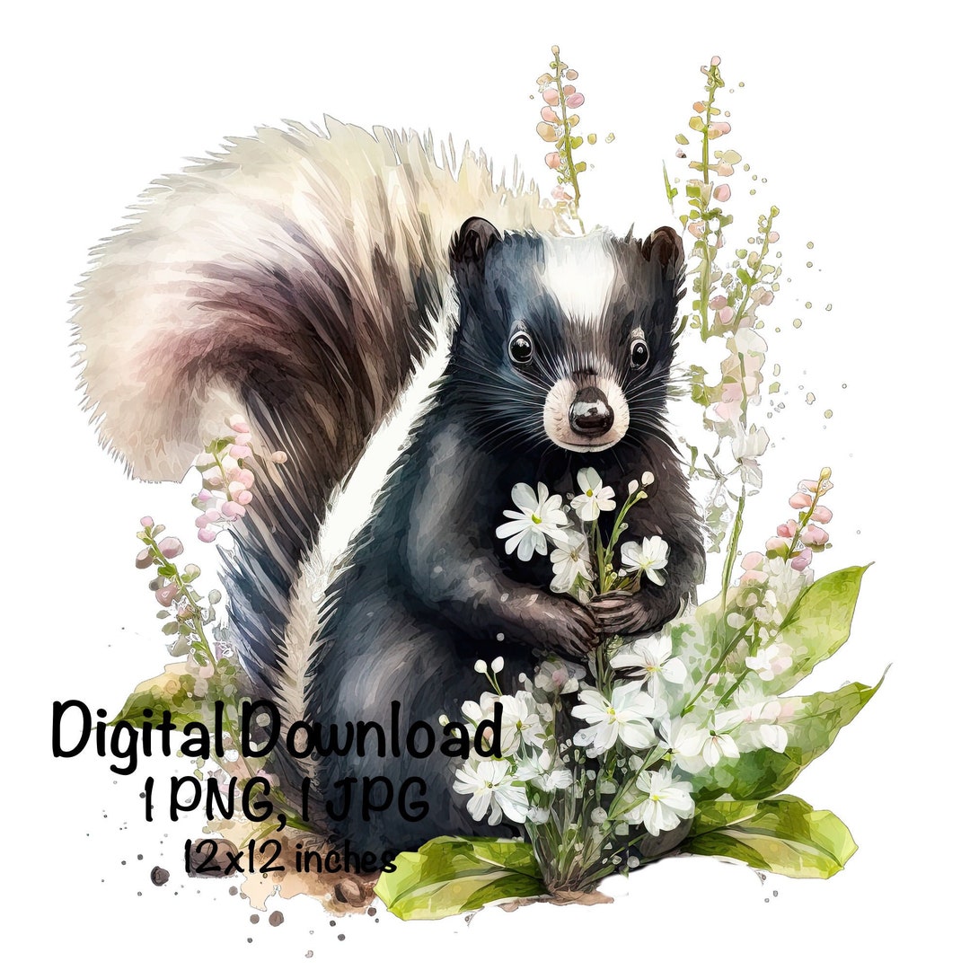 Cute Skunk Watercolor Clipart Skunk Flowers PNG Commercial Use Forest ...