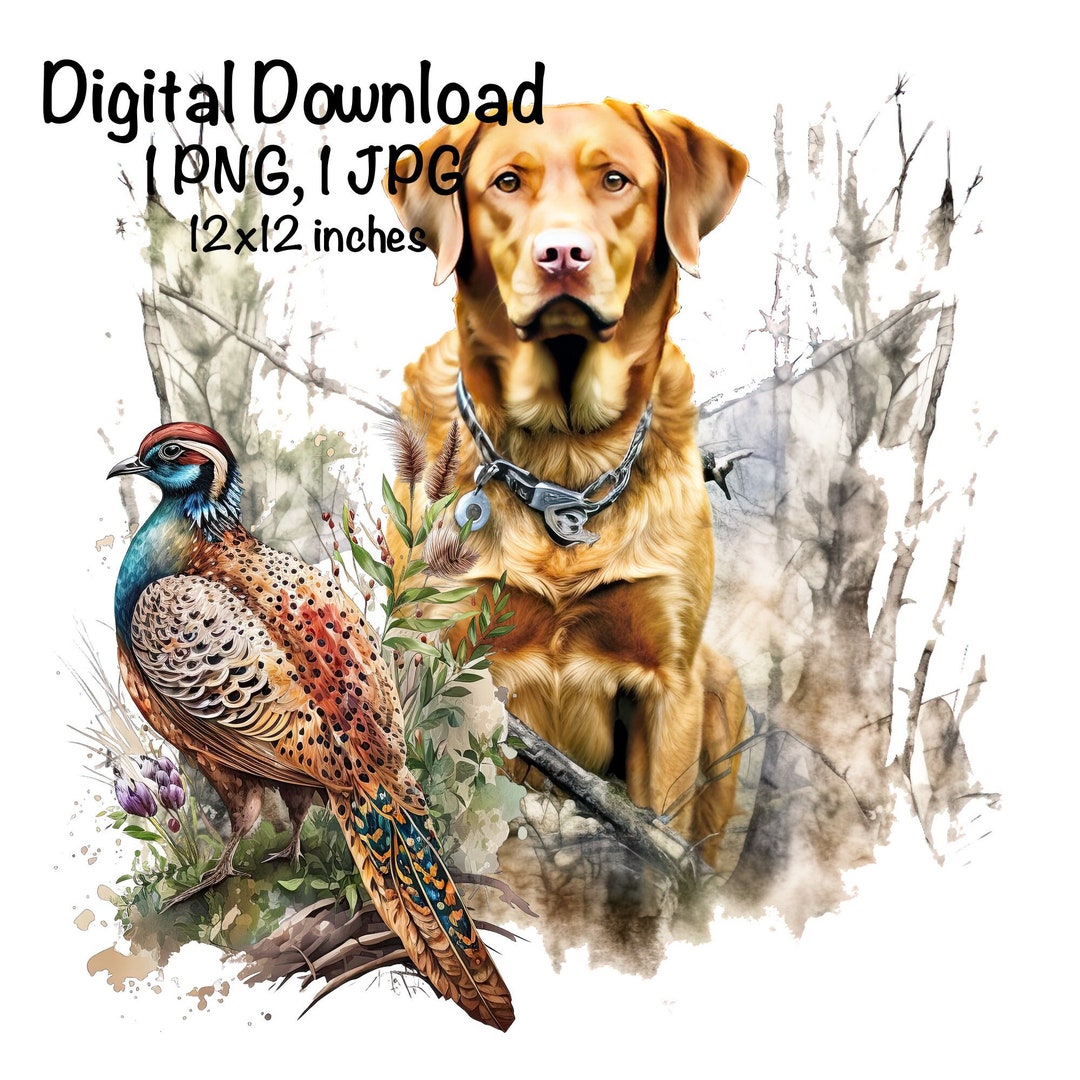 Bird Hunting Dog Watercolor Clipart Chesapeake Retriever Dog PNG ...