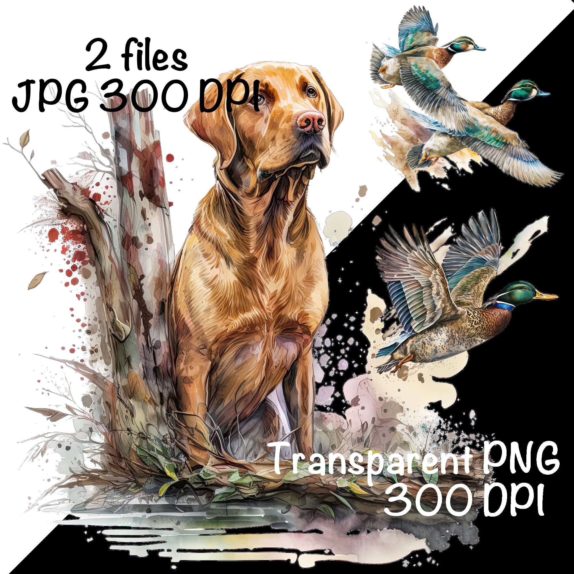 Duck Hunting Dog Watercolor Clipart British Red Labrador Cute Dog PNG ...