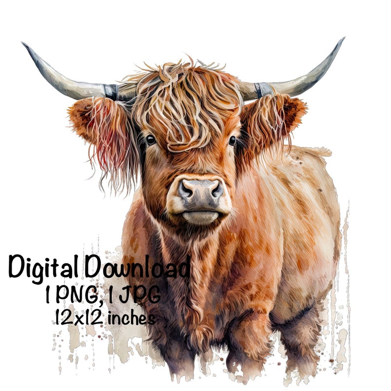Highland Cow Watercolor Clipart Red Highland Cow Red Hair - Etsy