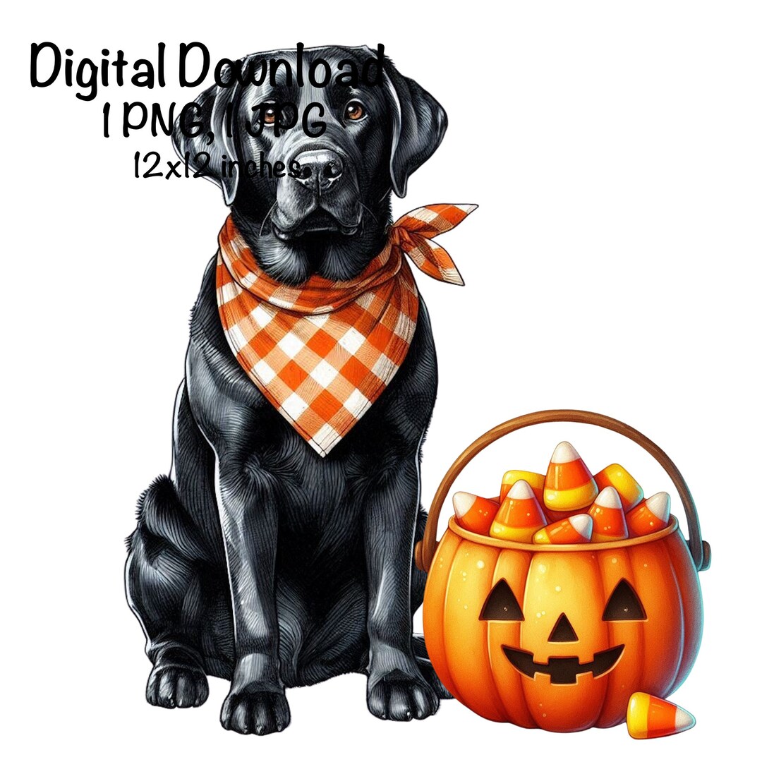 Halloween Labrador Retriever Lab Dog Pumpkin Candy Bucket PNG ...