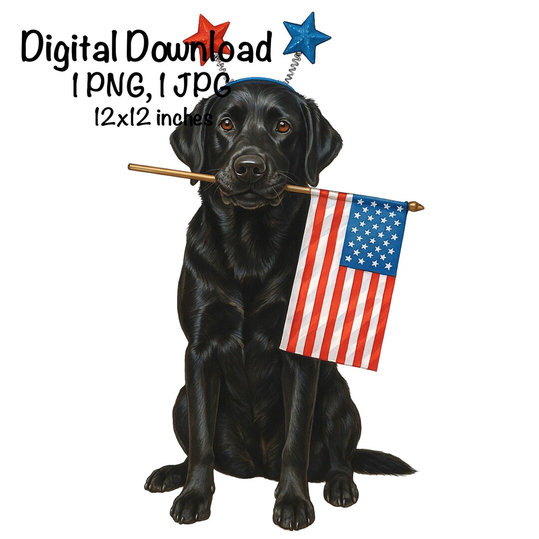4th of July Black Labrador PNG | July 4th Hunting Dog Sublimation PNG ...