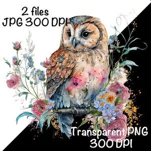 Owl Watercolor Clipart Night Owl & Spring Flowers PNG Commercial Use ...