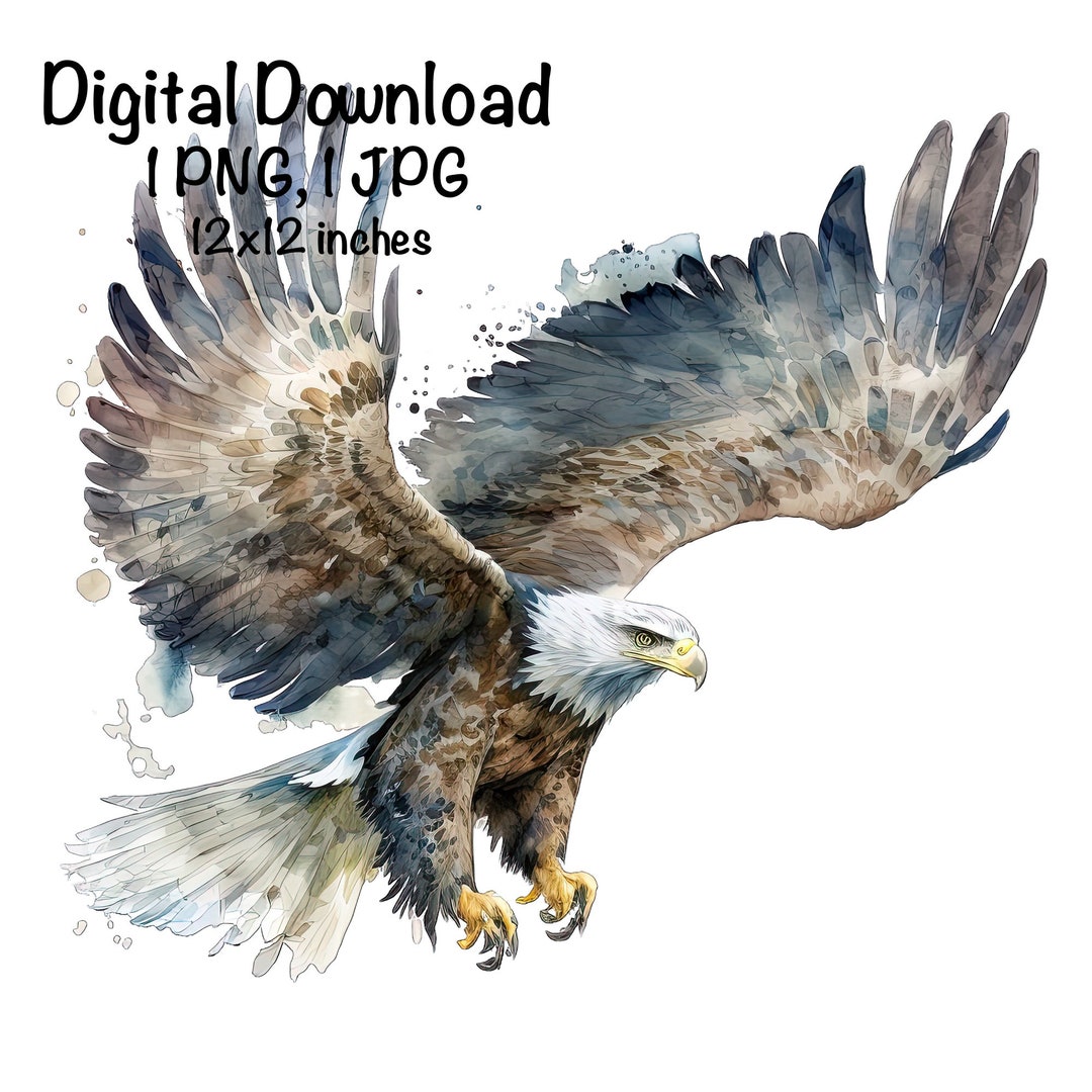 Eagle Flying PNG Eagle Watercolor American Eagle Commercial Use ...