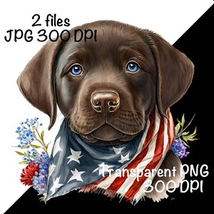 Patriotic Cute Labrador Watercolor Flag Dog Clipart American Cute Lab ...