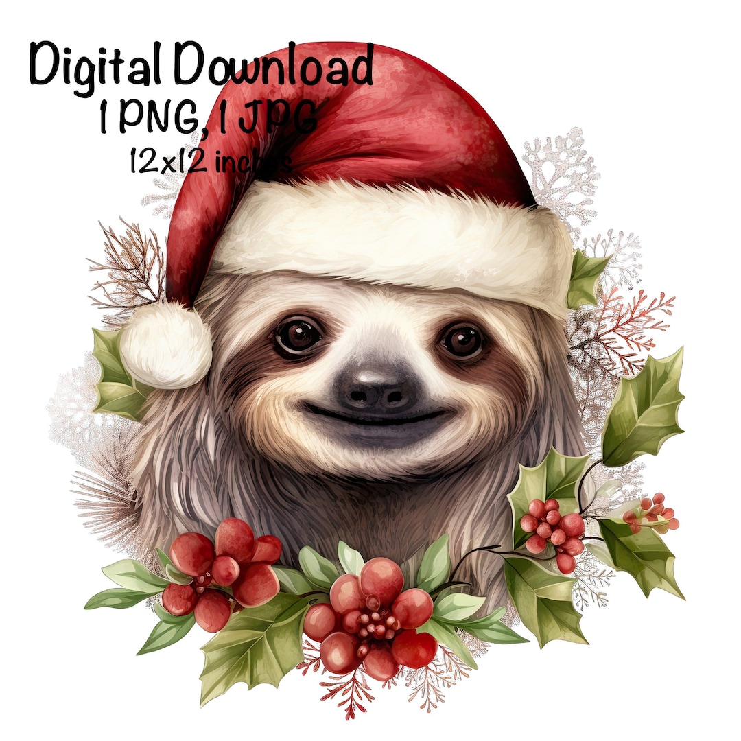 Christmas Sloth PNG Watercolor Clipart Winter Sloth Christmas Flowers ...