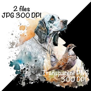 Quail Hunting Dog Watercolor Clipart English Setter Dog PNG Commercial ...