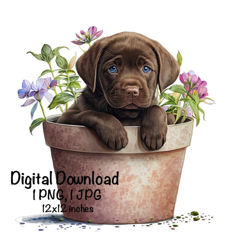 Labrador Puppy Watercolor Clipart Cute Lab Dog in a Flower Pot Baby ...