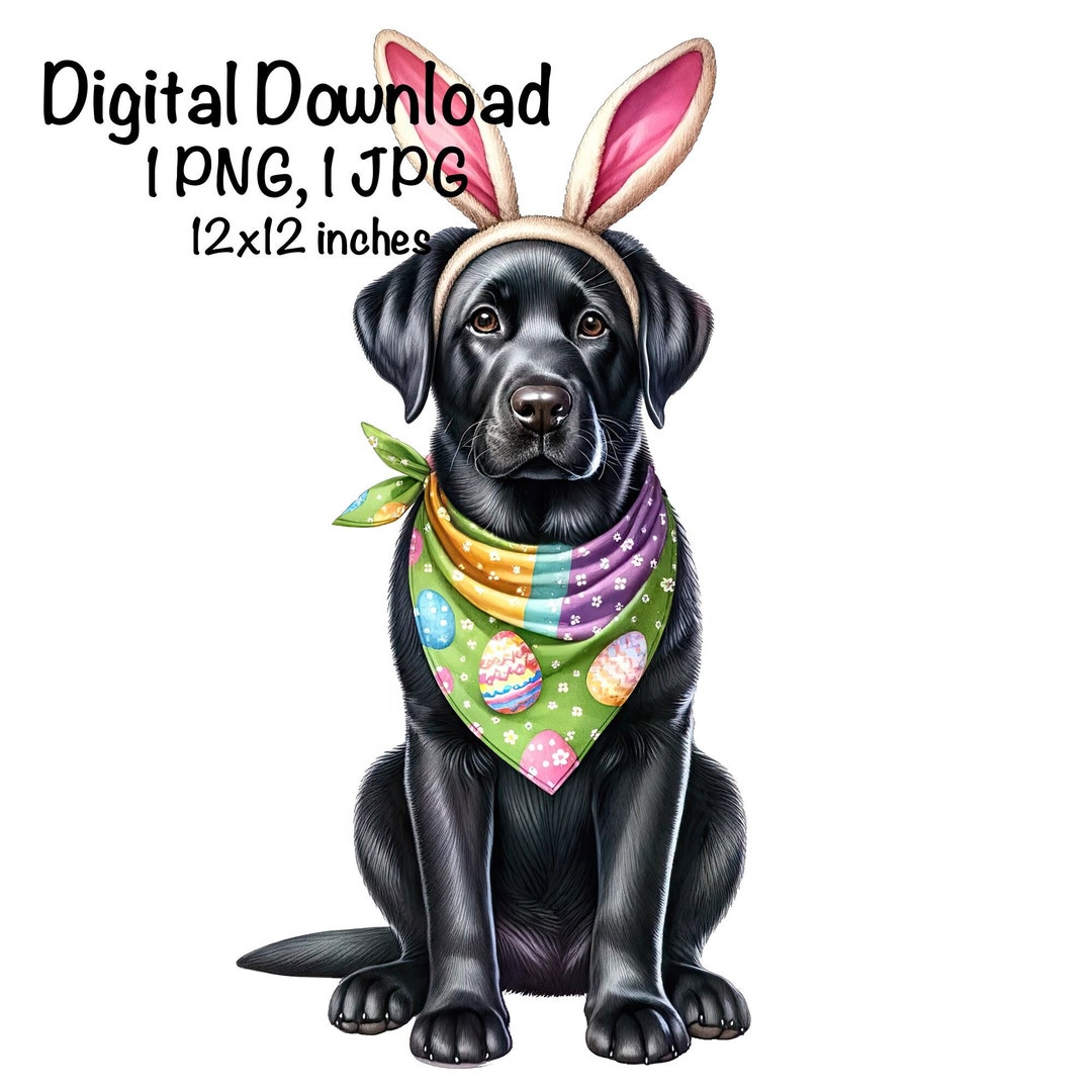 Easter Labrador PNG, Easter Bunny Labrador Dog Sublimation, Hunting PNG ...