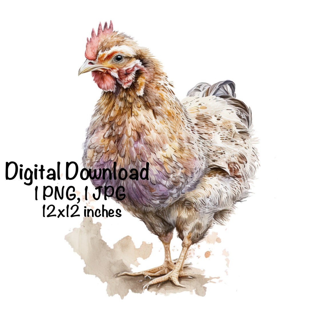 Farm Chicken Watercolor Farm Hen Boys Girls Clipart Wall Art Chicken ...