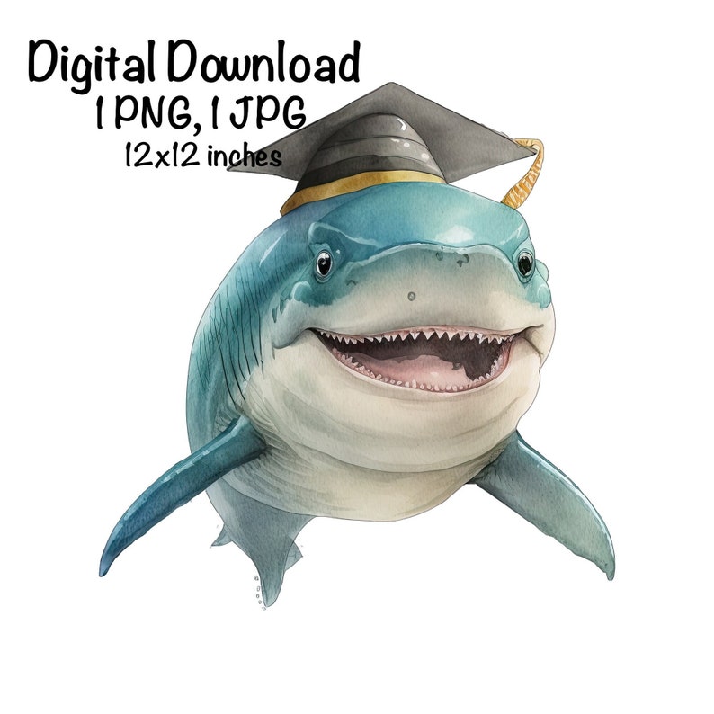 Graduation Shark Watercolor Clipart Graduation Cute Shark PNG - Etsy
