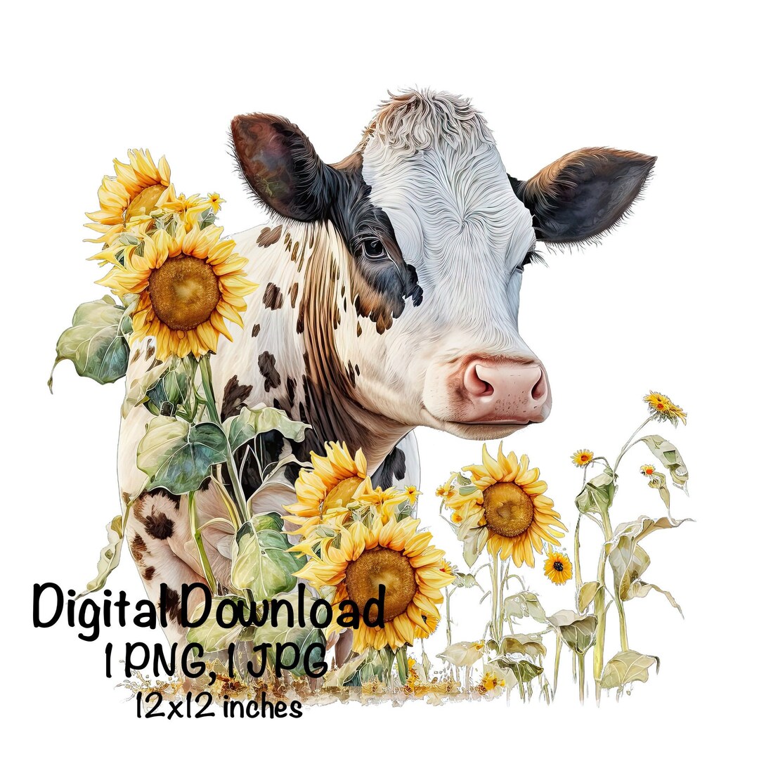 Dairy Milk Cow Watercolor Clipart Highland Cow Sunflowers Flowers PNG ...