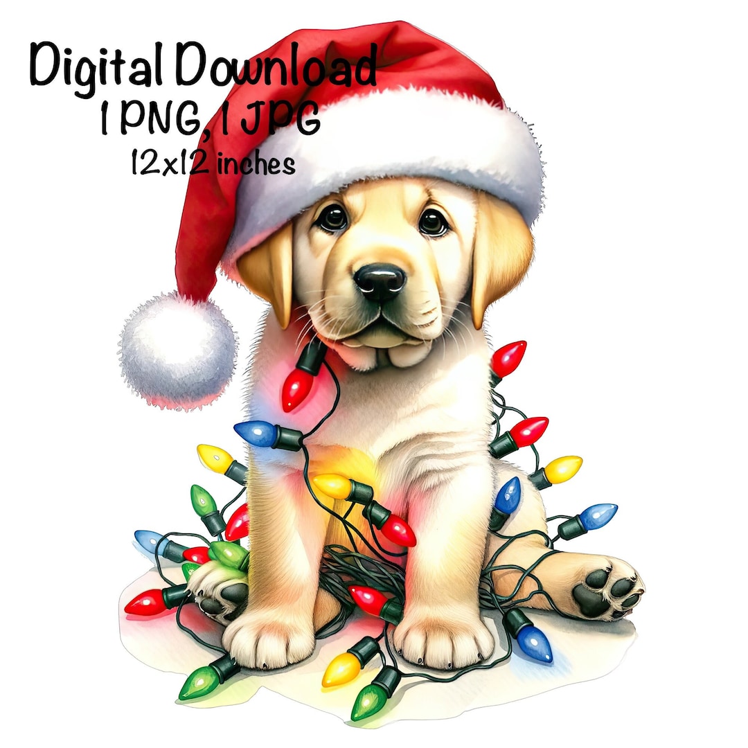 Christmas Labrador Puppy PNG Christmas Lights Santa Yellow Labrador ...