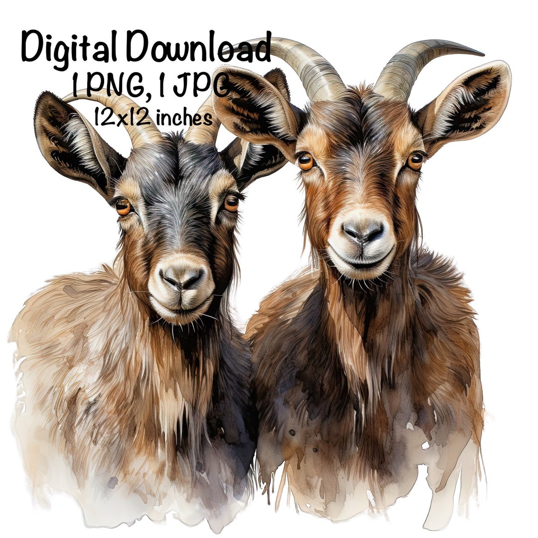 Farm Goats PNG Goats Watercolor Clipart Goat Portrait Farmer Farm PNG ...