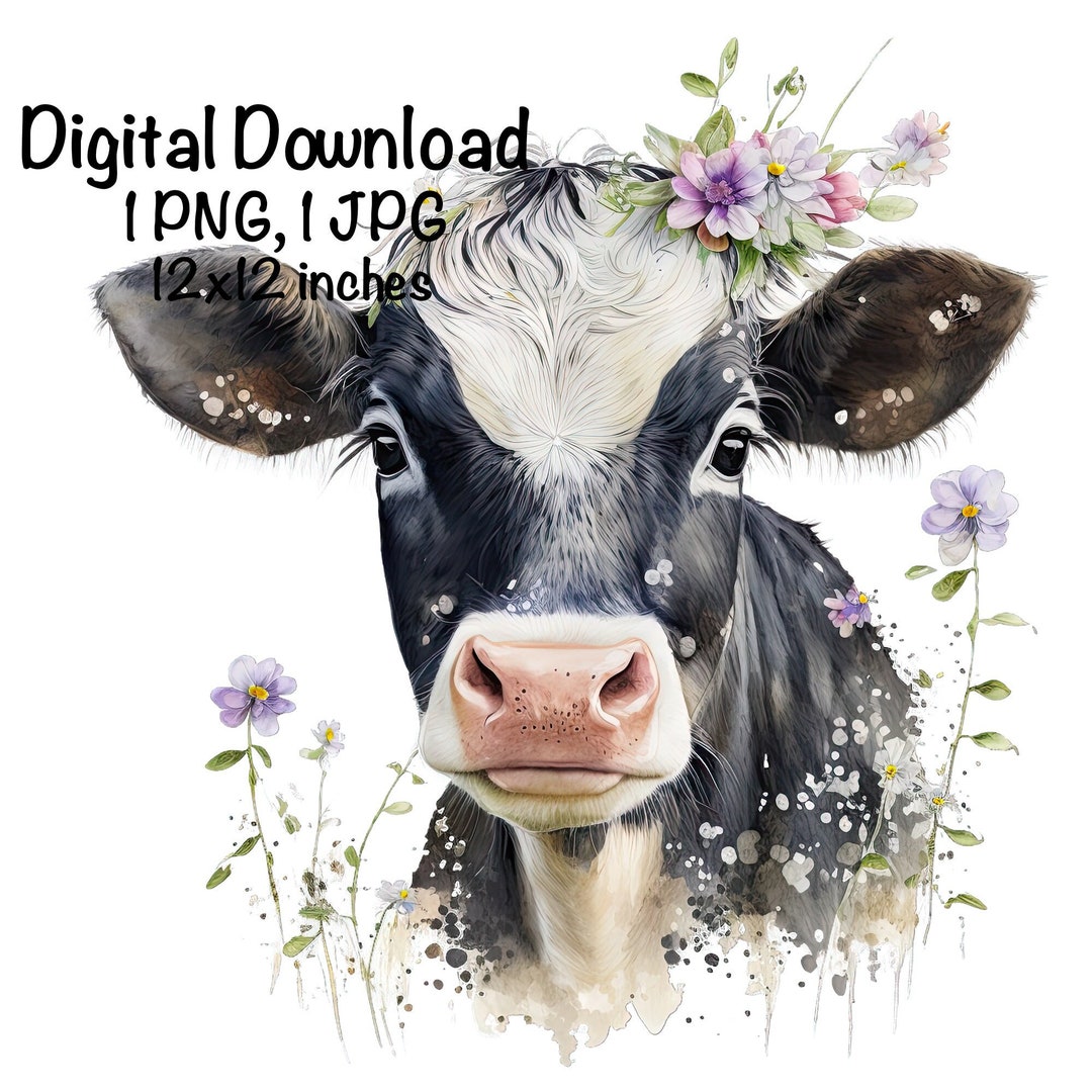 Dairy Milk Cow Watercolor Clipart Highland Cow Daisy Flowers PNG ...