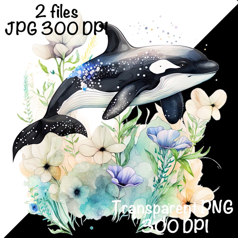 Orca Whale Watercolor Clipart Cute Whale Spring Flowers Commercial Use ...