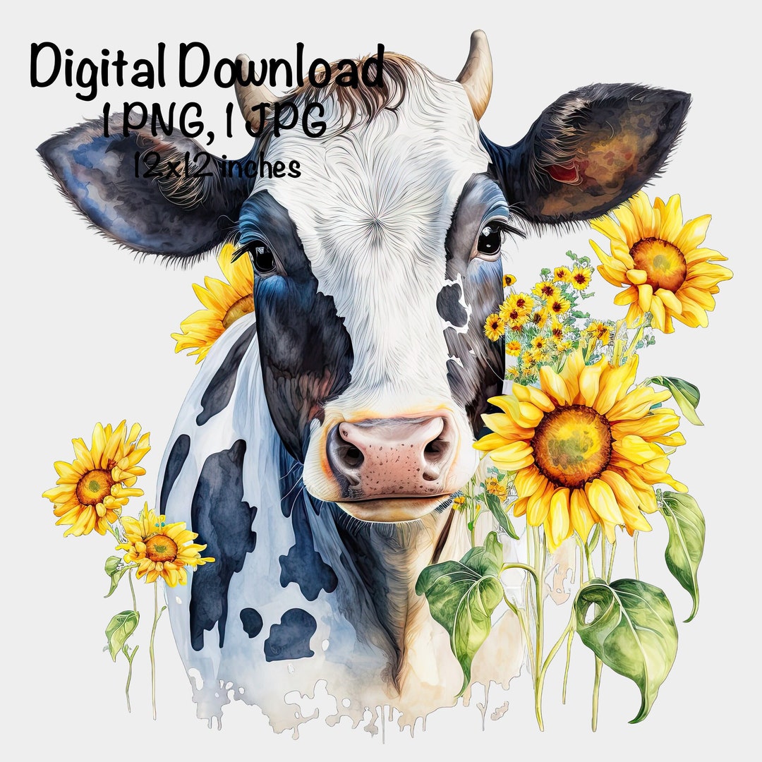 Dairy Milk Cow Watercolor Clipart Highland Cow Sunflowers Flowers PNG ...