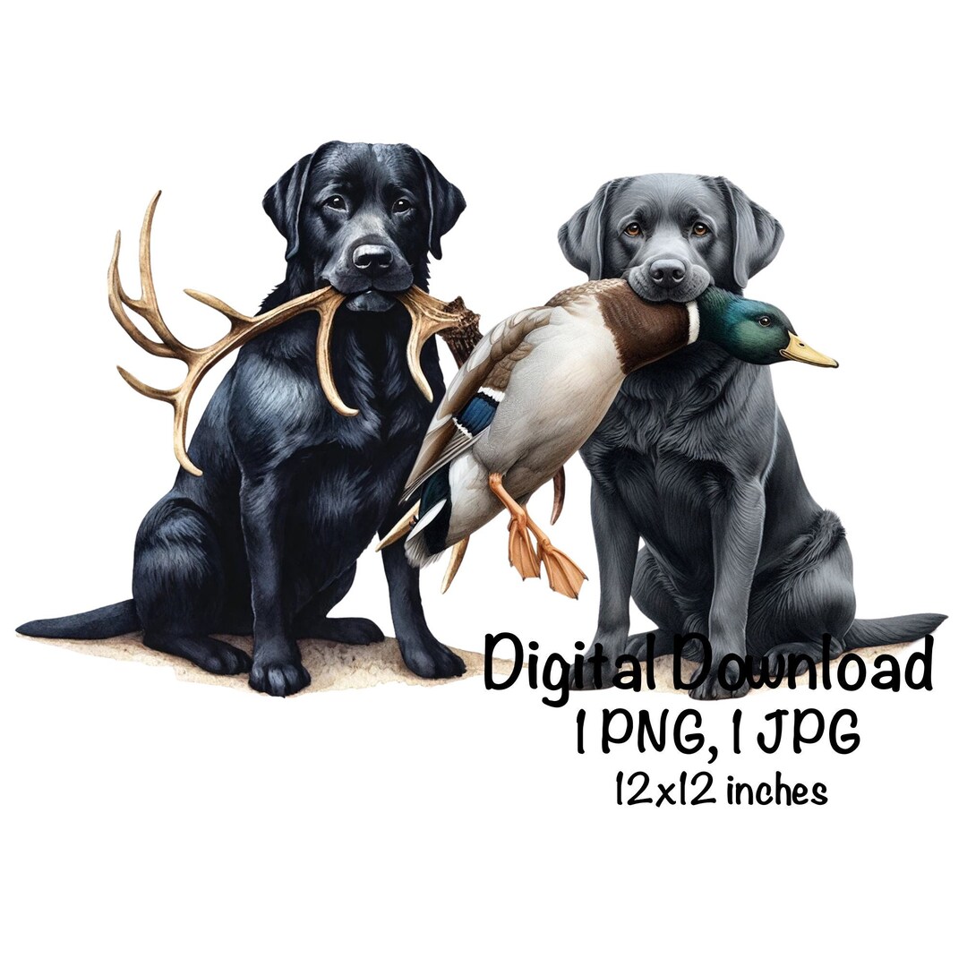 Labrador Hunting Dog Sublimation | Duck Hunting PNG | Hunting ...